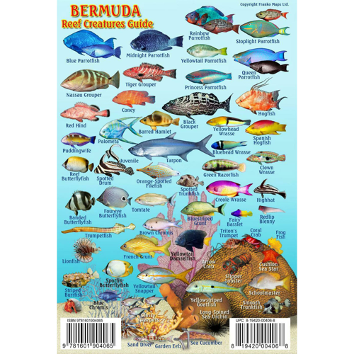 Franko Maps Bermuda Mini Fish ID-Card - Scuba