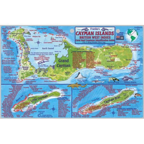 Franko Maps, Cayman Islands Reef Creatures Fish ID-Card - Scuba