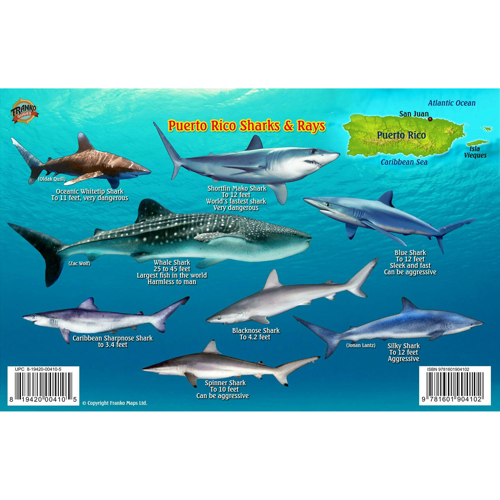 Franko Maps Puerto Rico Shark and Rays Fish ID-Card - Scuba